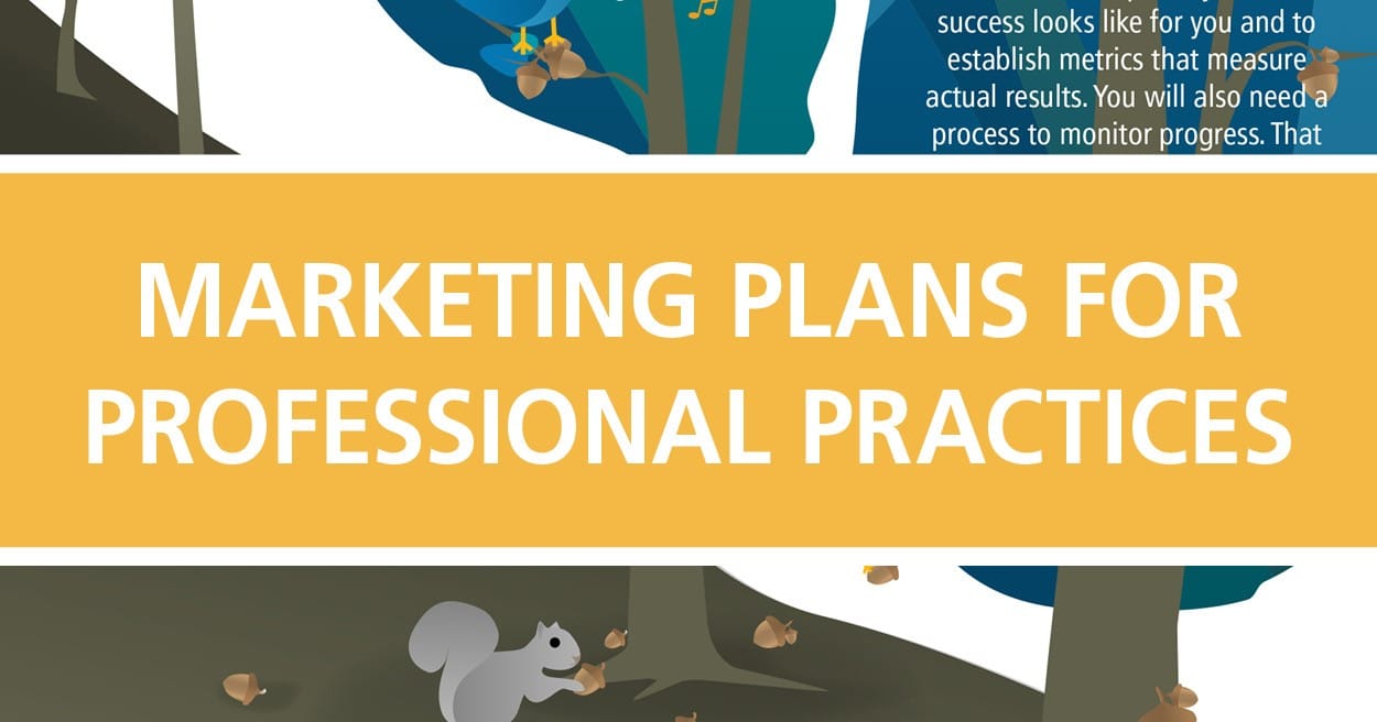 Marketing plans for professional practices [infographic]